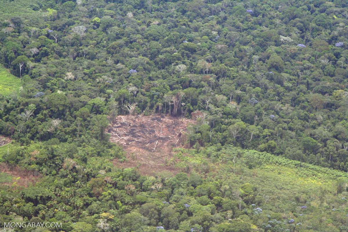 Aerial view of rainforest cut for subsistence agriculture