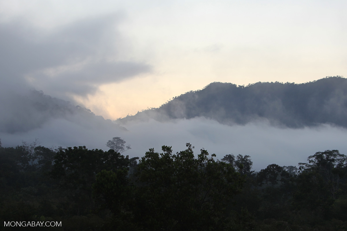 Amazon mountain ridge near Villa Carmen