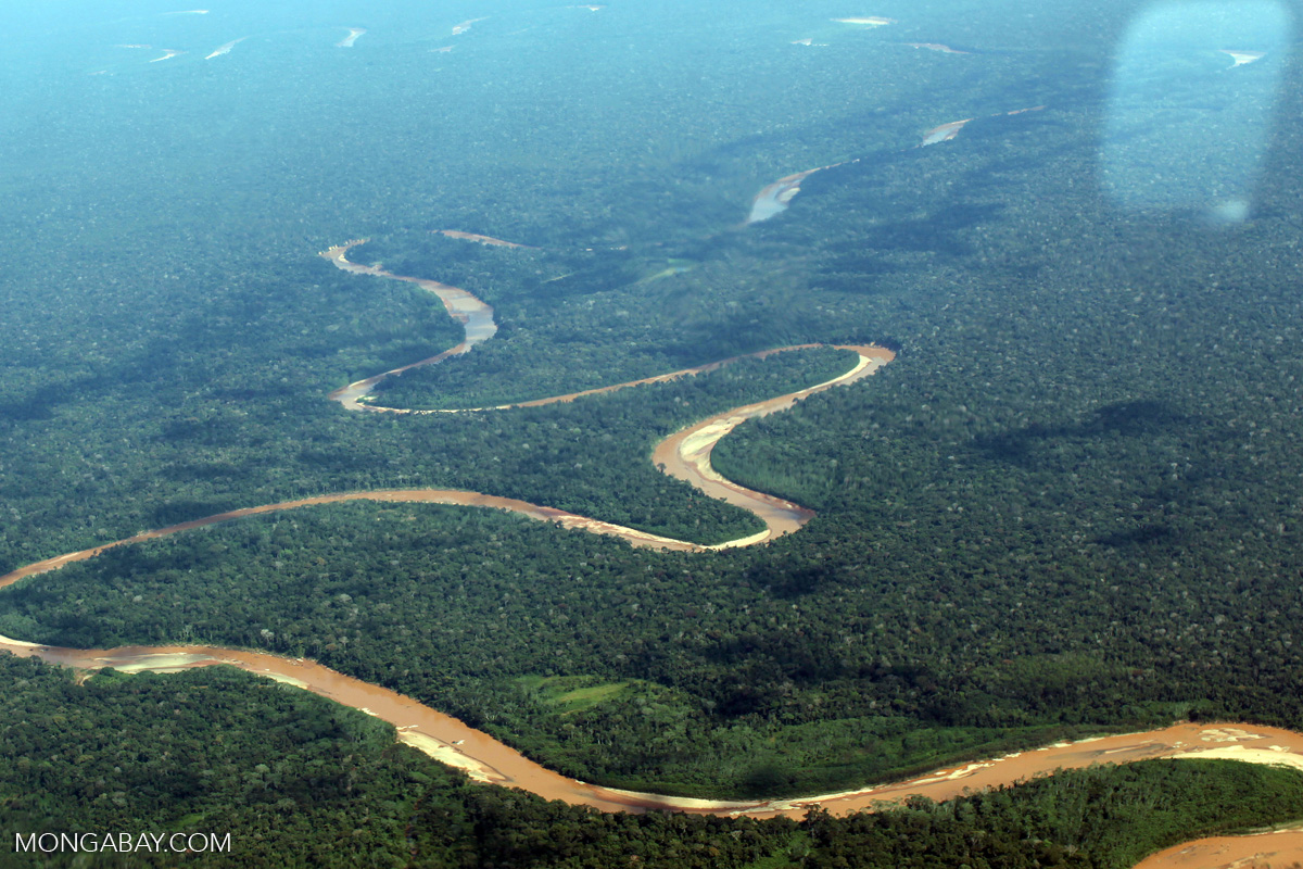 Meandering river in the southeastern Amazon