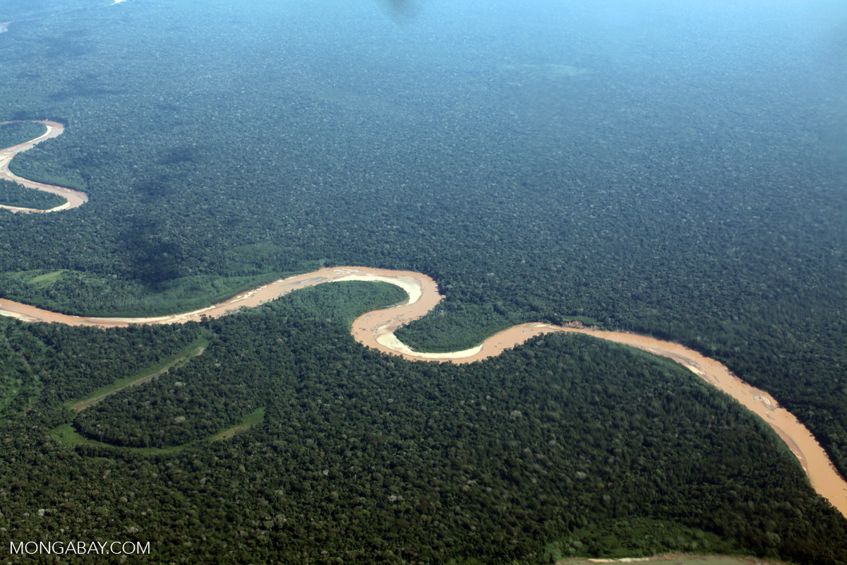 Overhead view of an Amazon rainforest tributary