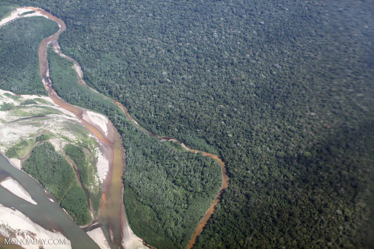 Lowland Amazon rainforest