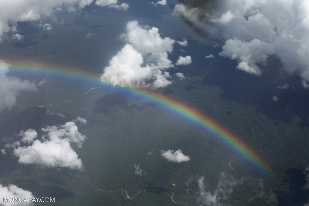 Rainbow over the world's largest tropical forest