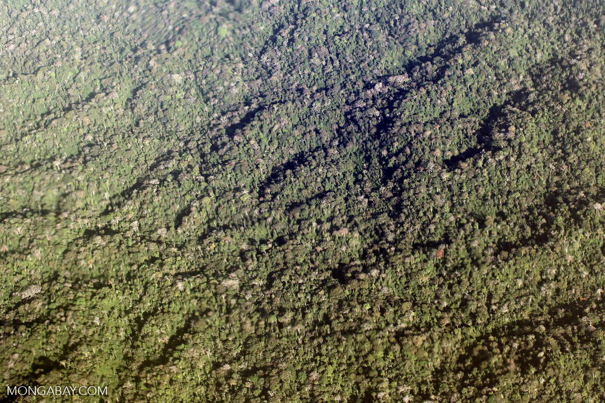 Airplane view of rugged forest terrain in the Western Amazon