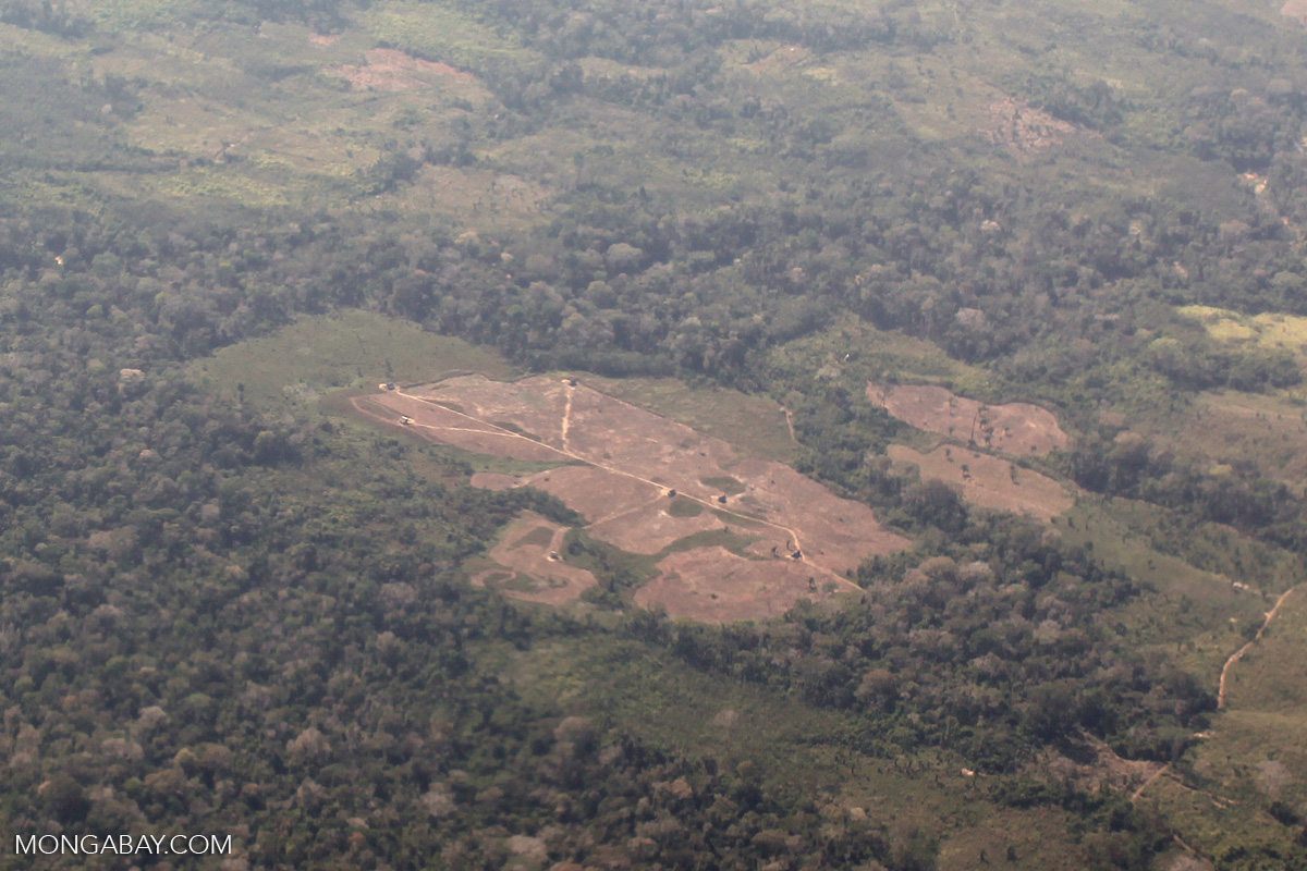 Aerial view of large-scale agriculture in the Peruvian Amazon