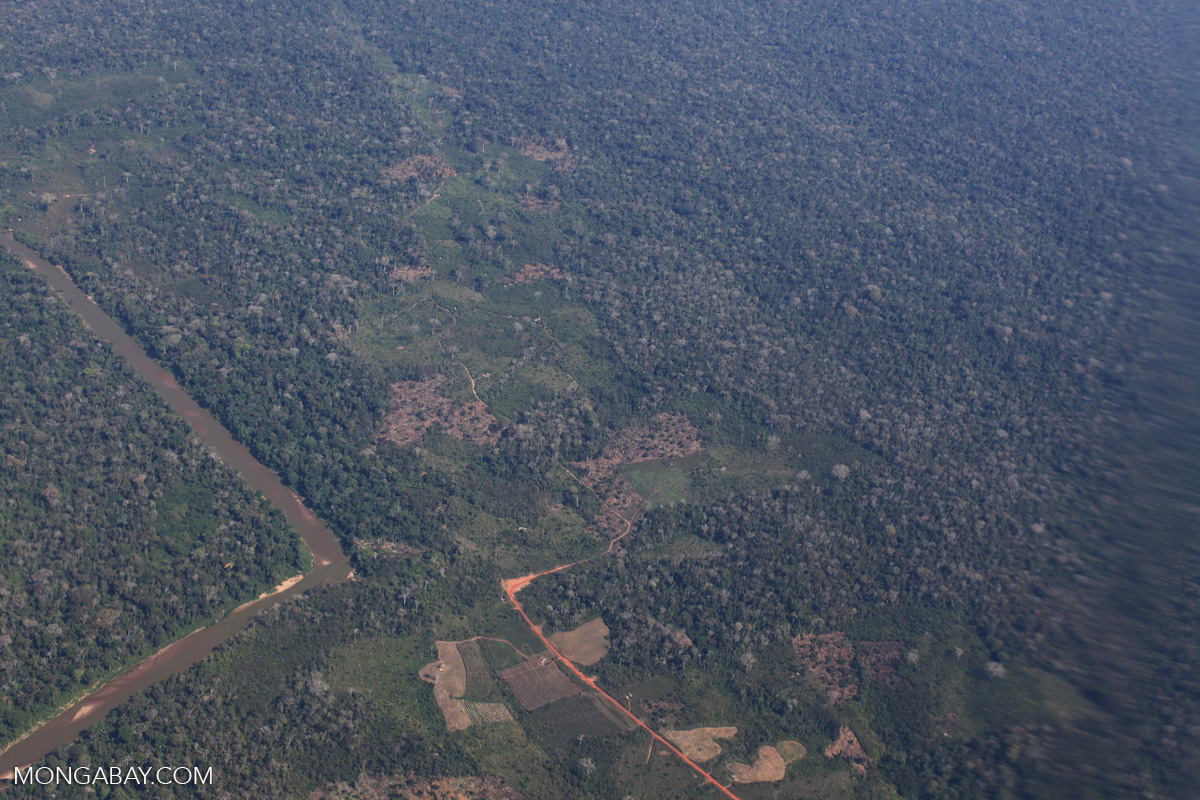 Deforestation along a river in the Peruvian Amazon [peru_aerial_1064]