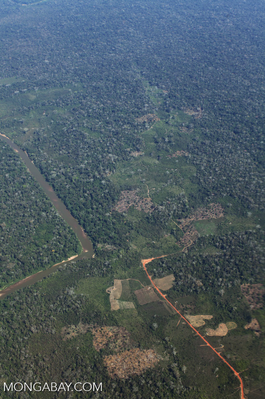 Airplane view of deforestation along a river in the Peruvian Amazon ...