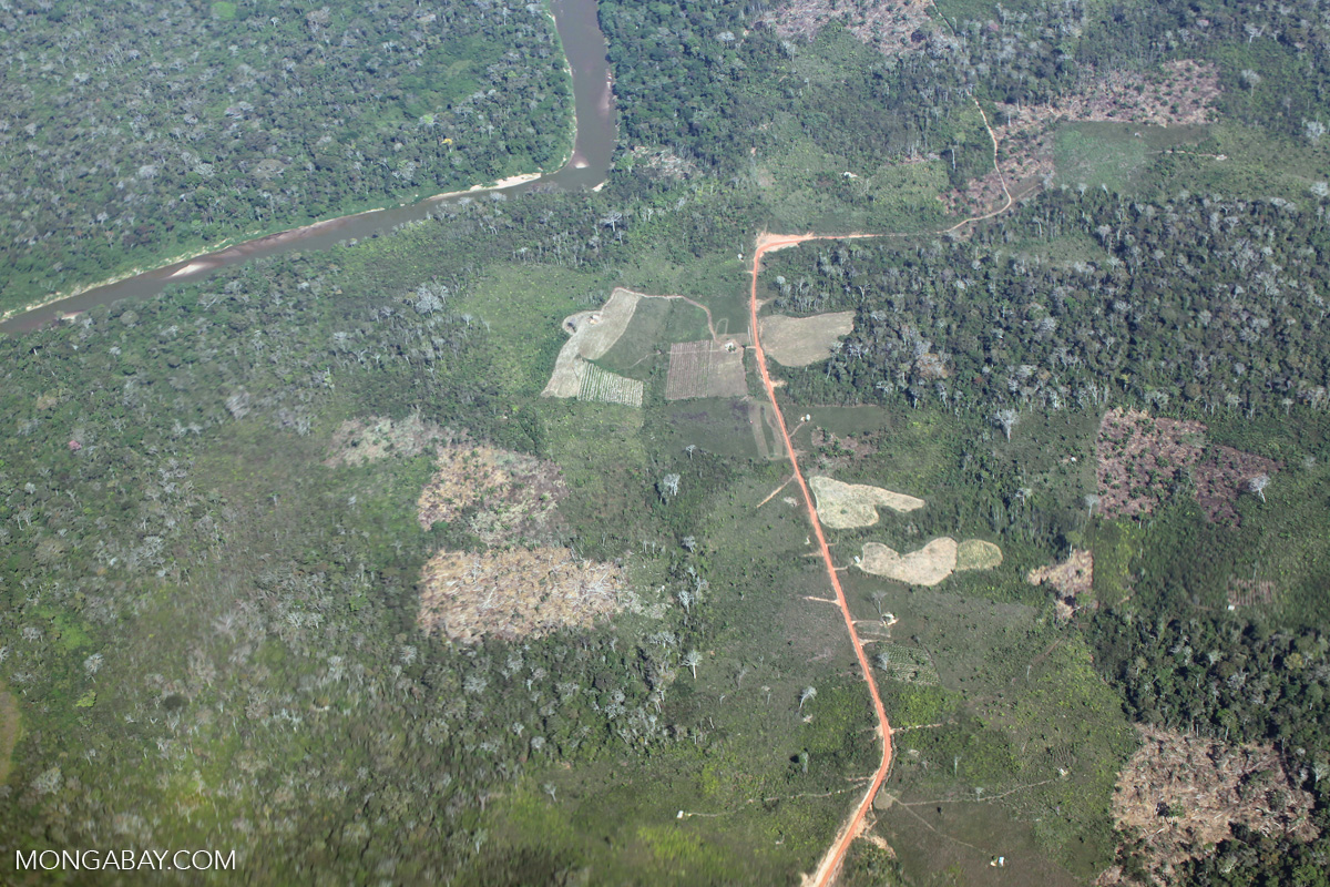 Airplane view of deforestation in the Peruvian Amazon