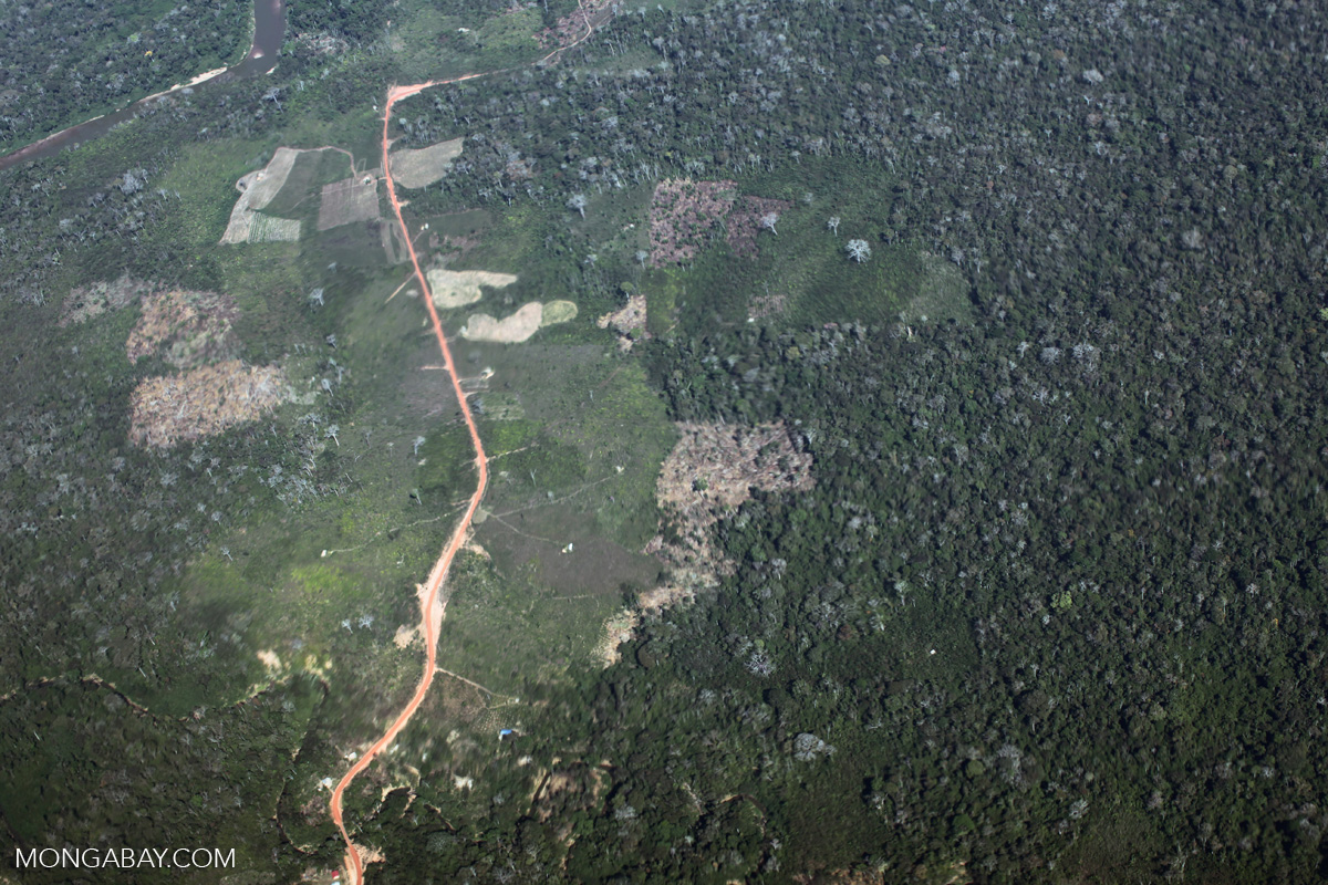 Aerial photo of deforestation in the Peruvian Amazon