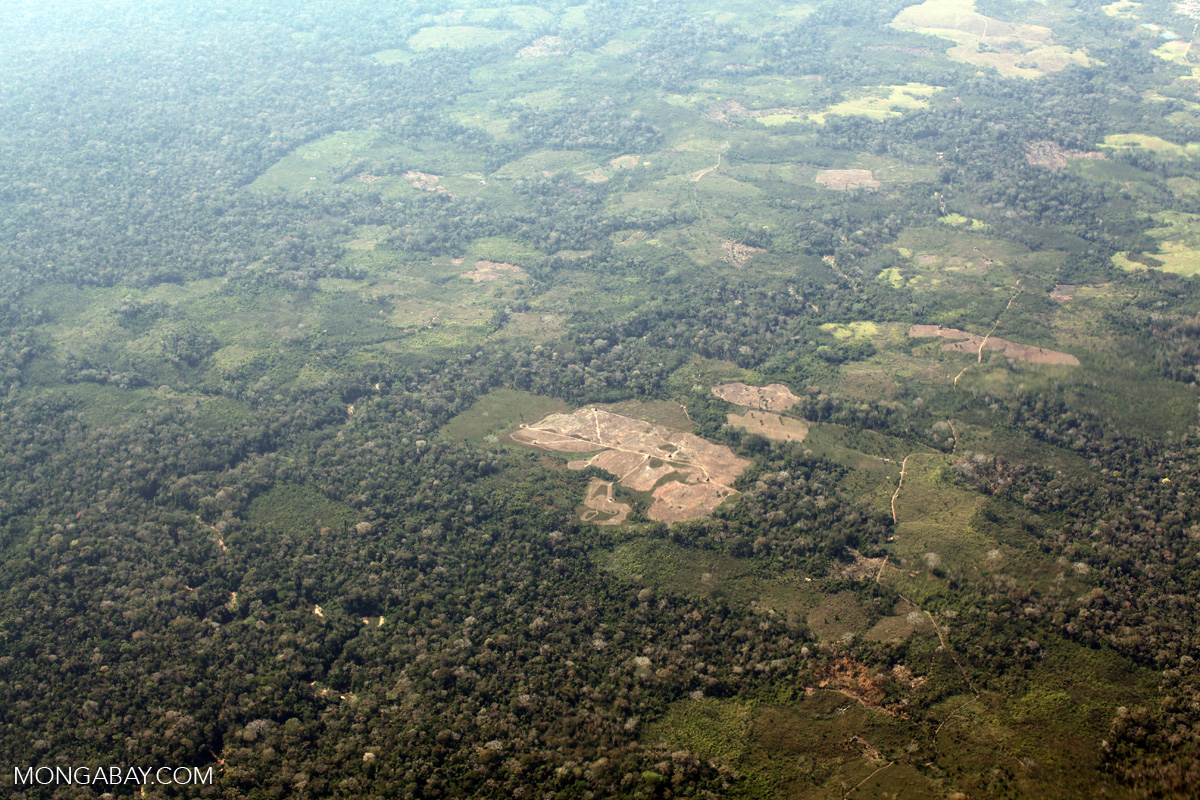 mosaic deforestation in the Peruvian Amazon [peru_aerial_1094]