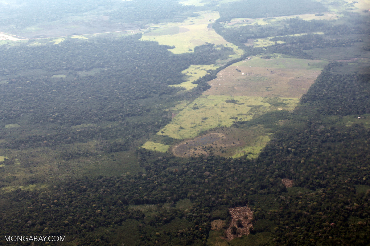 mosaic deforestation in the Peruvian Amazon [peru_aerial_1138]