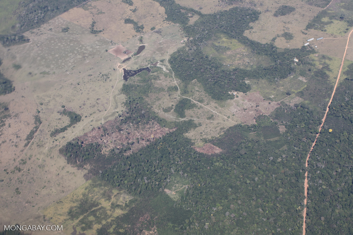 Overhead view of large-scale deforestation for cattle ranching in the ...