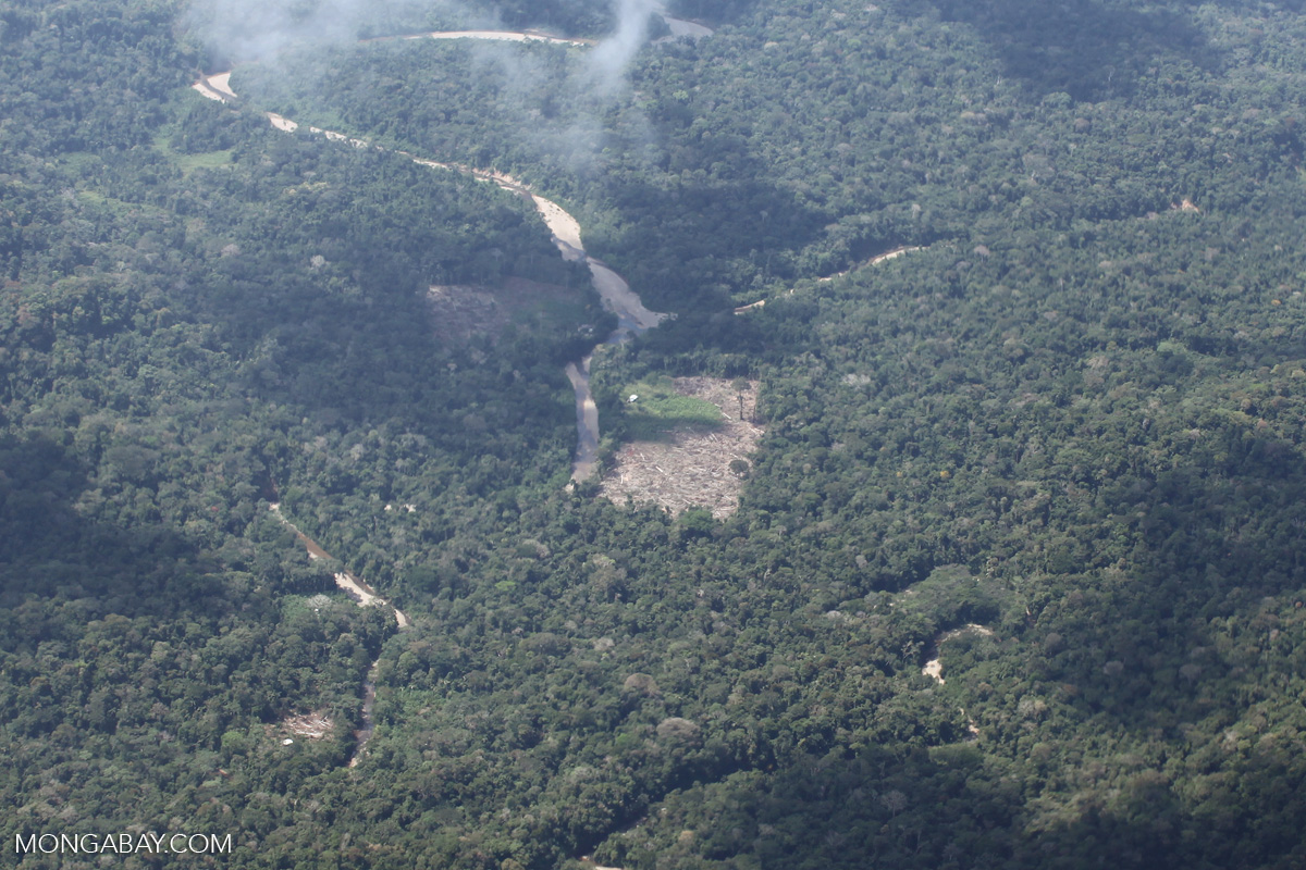 Deforestation in the Amazon [peru_aerial_1609]