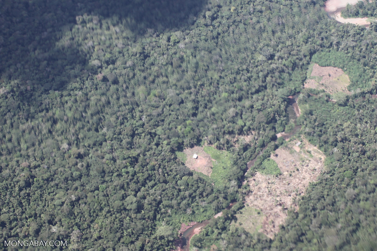 Remote road following a river in the submontane forest of the Peruvian ...