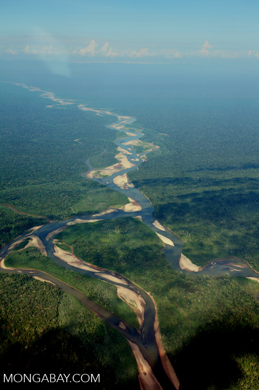 Overhead view of Amazon basin rainforest