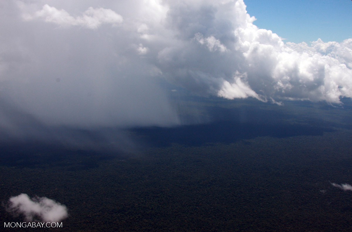 Rain falling over the Amazon rainforest