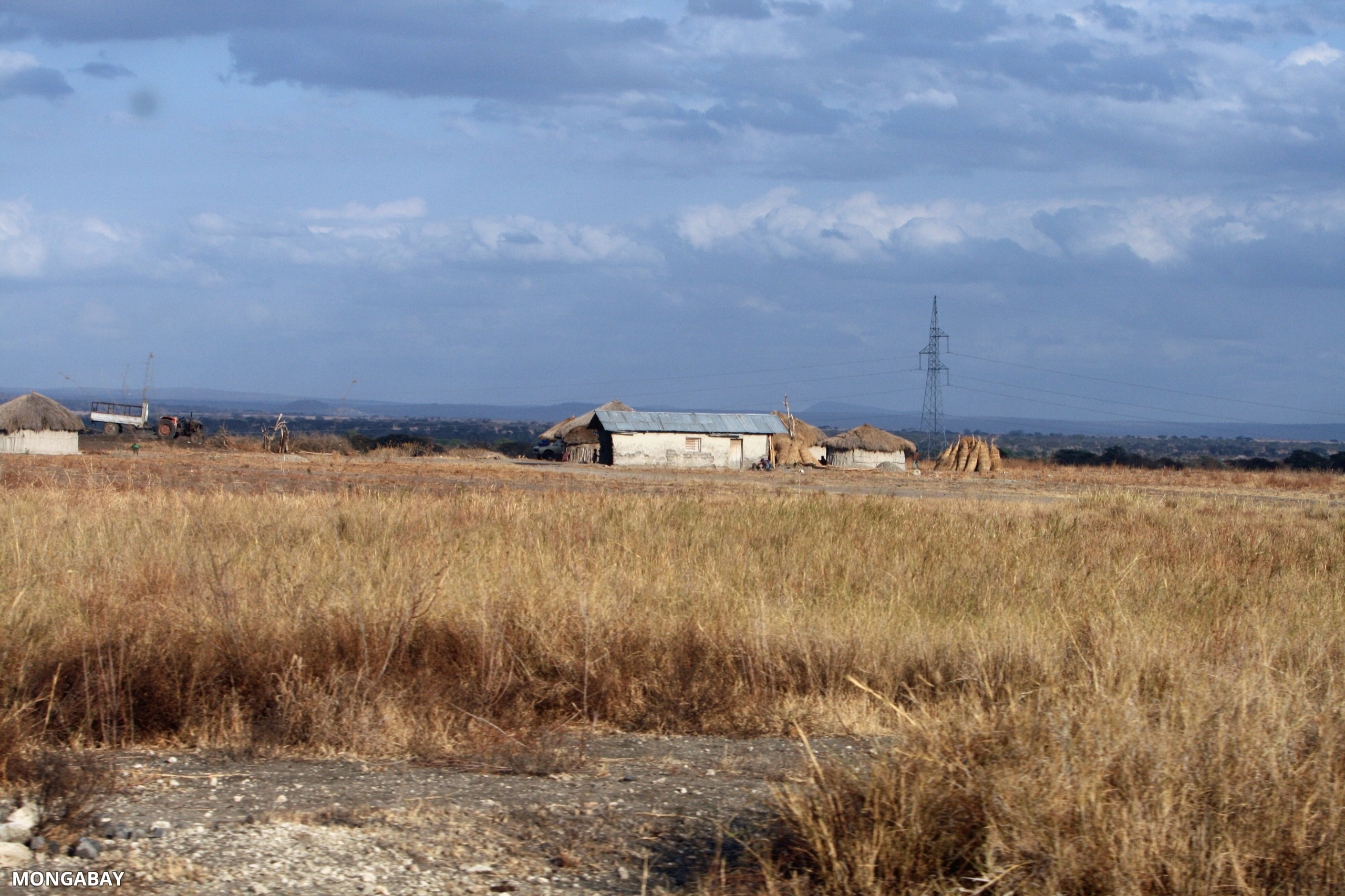 Maasai manyatta with a corrugated tin roofed hut