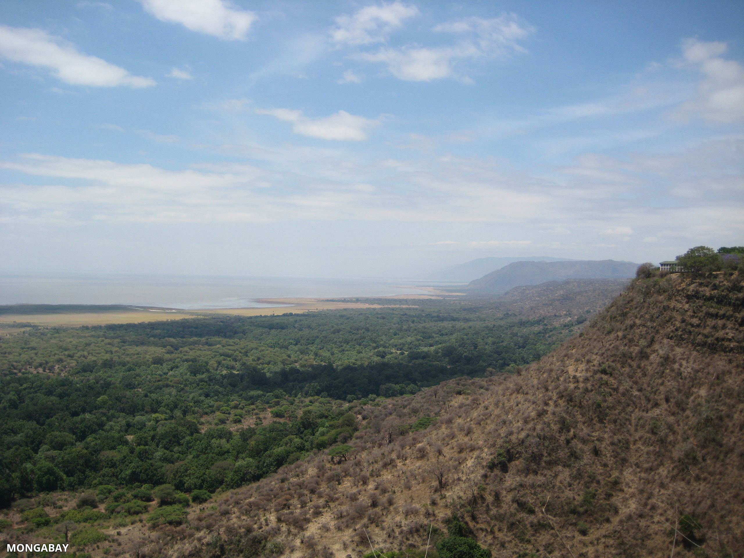 Rift Valley escarpment with the forest of Lake Manyara National Park ...