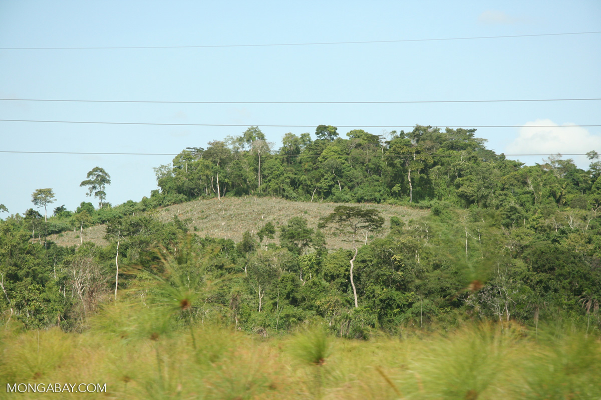 Deforestation in Uganda
