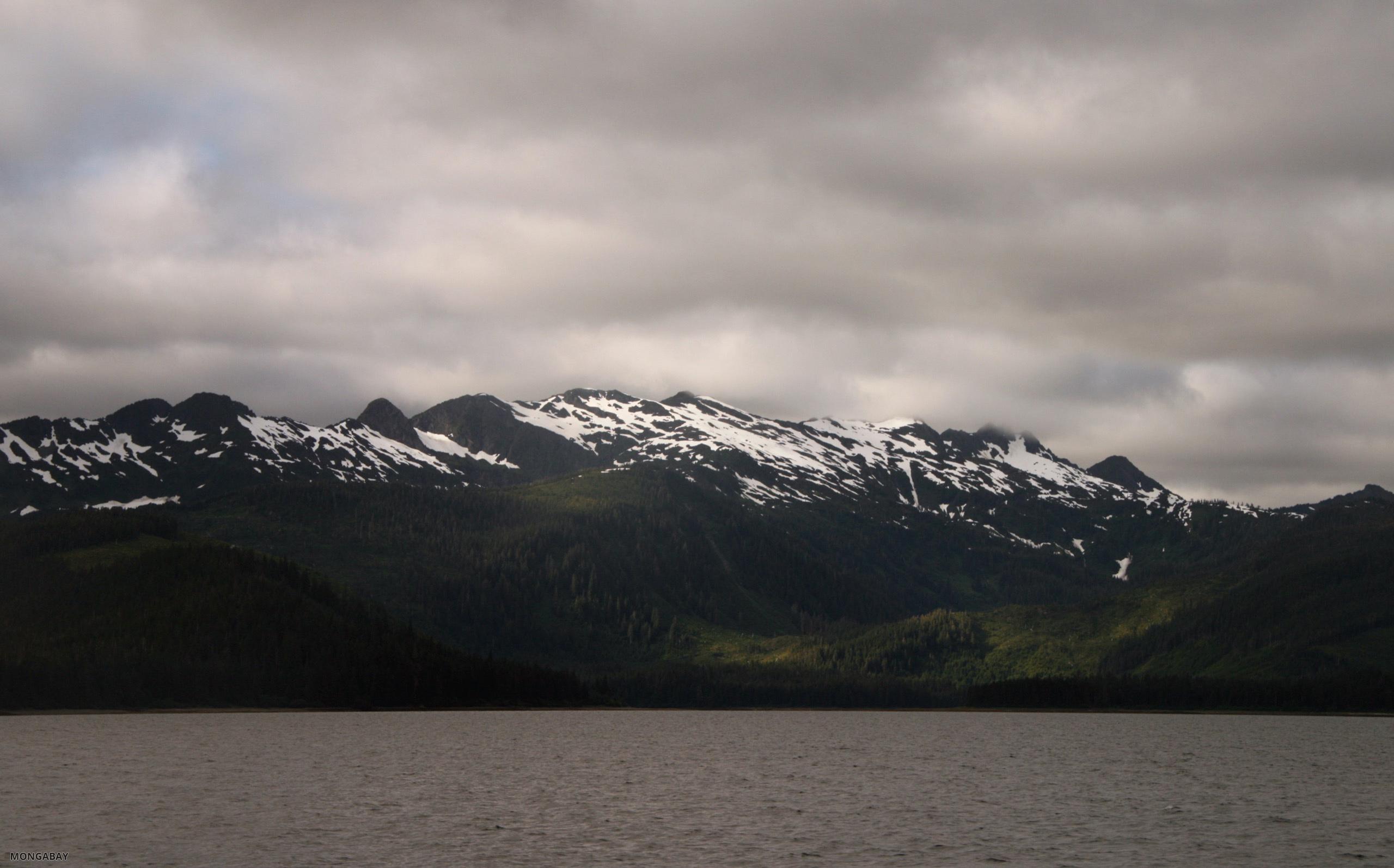 Clear-cutting in Alaska