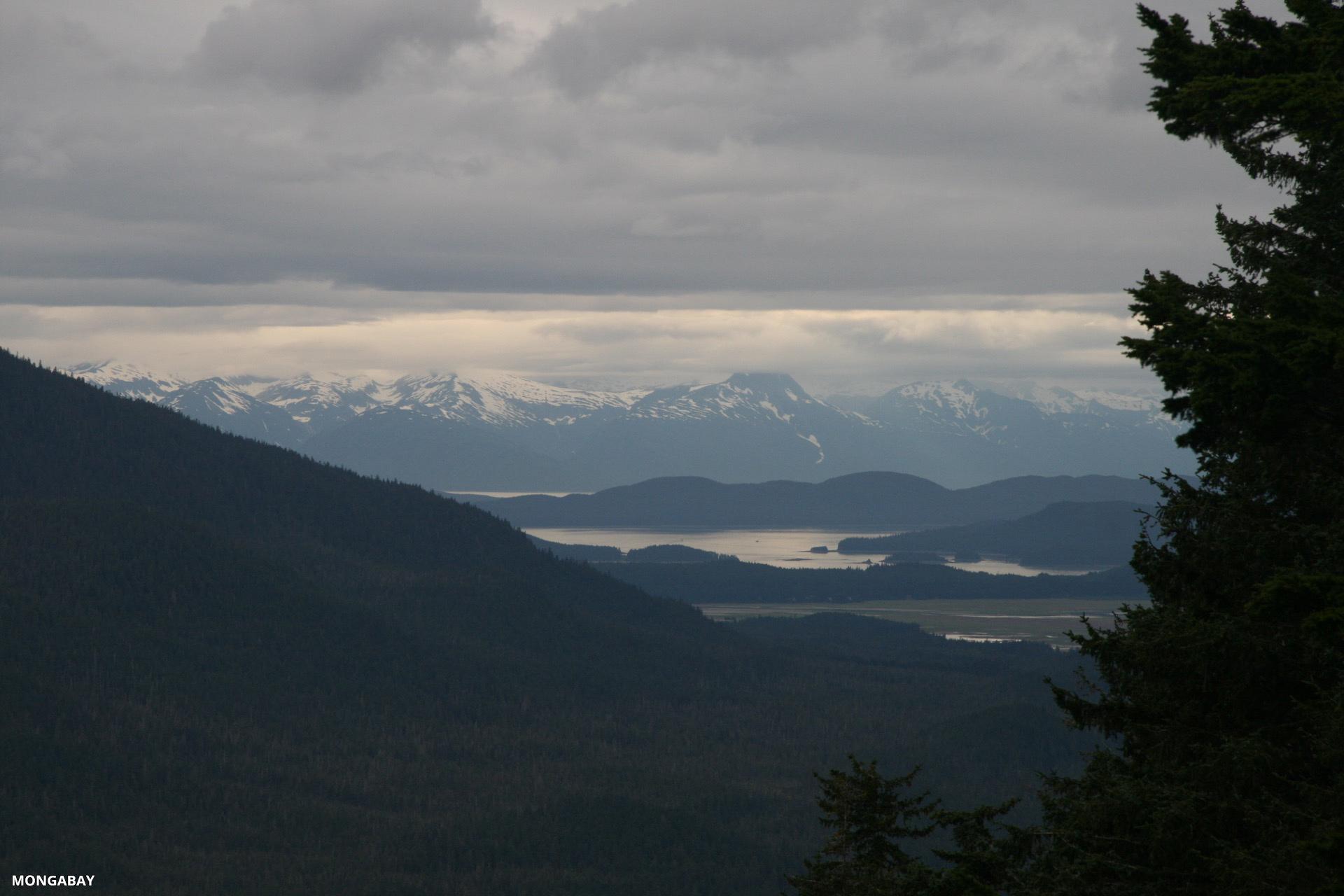 Snow-capped mountains of the Chilkat Range in Alaska