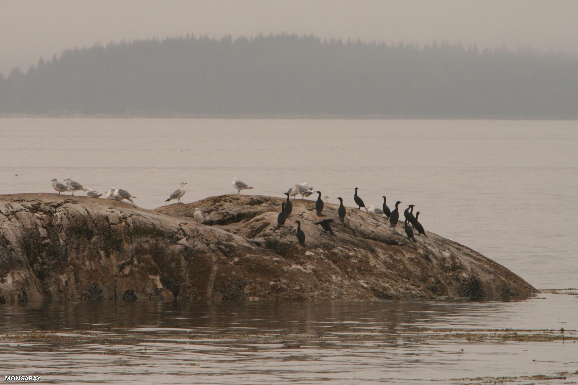 south_marble_island_5080