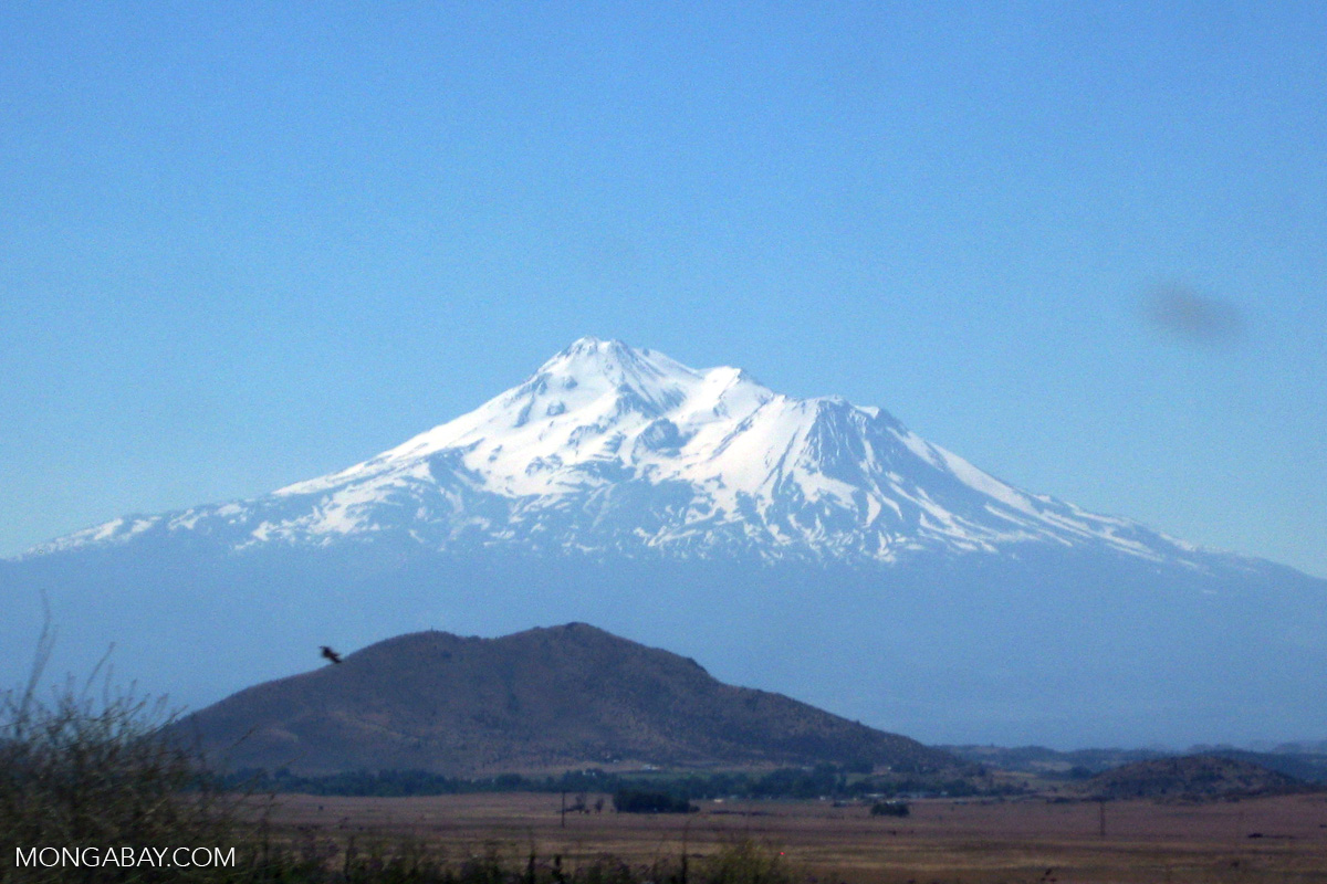 Mt Shasta seen from a distance