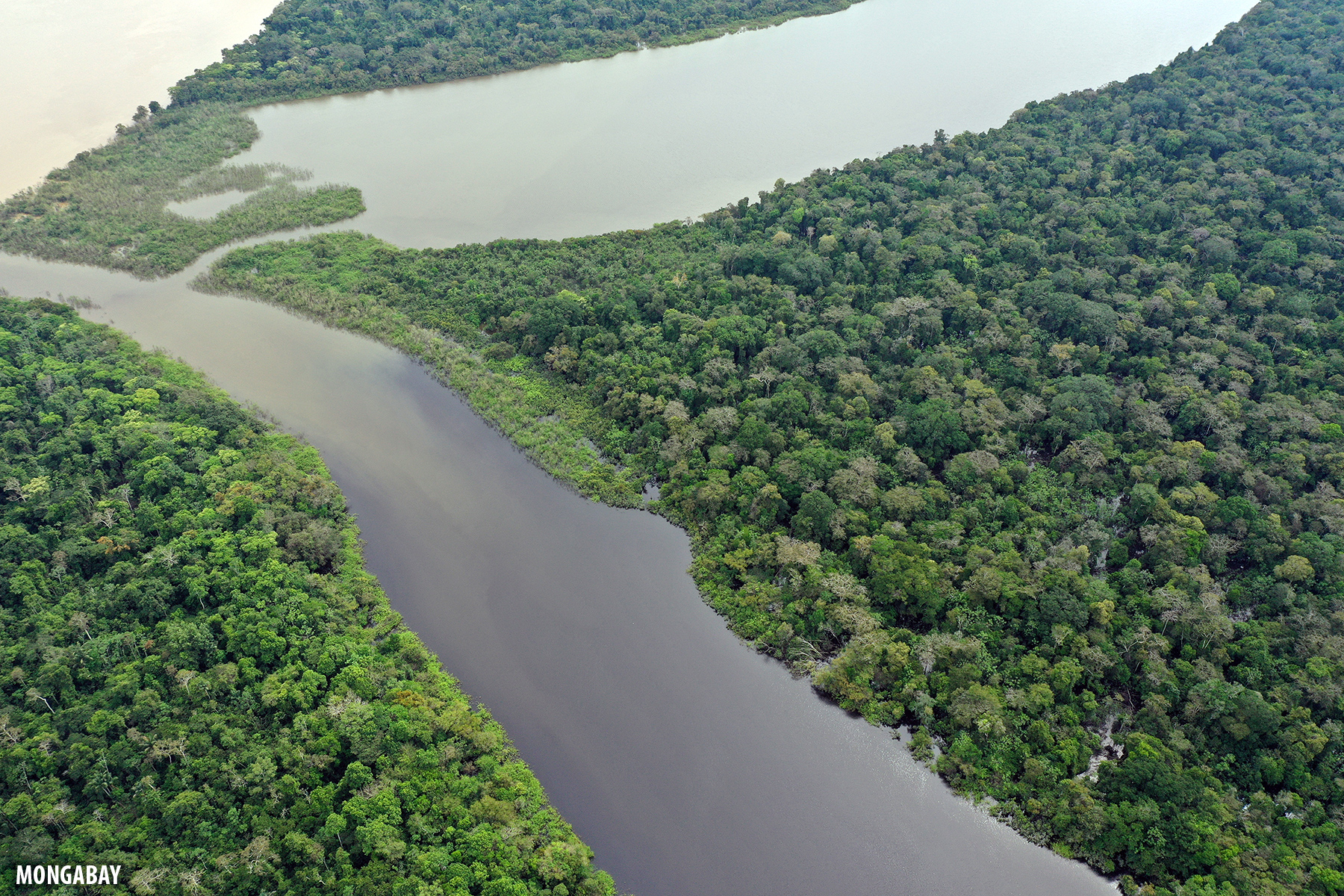 Where the Zacambu river meets the Javari river