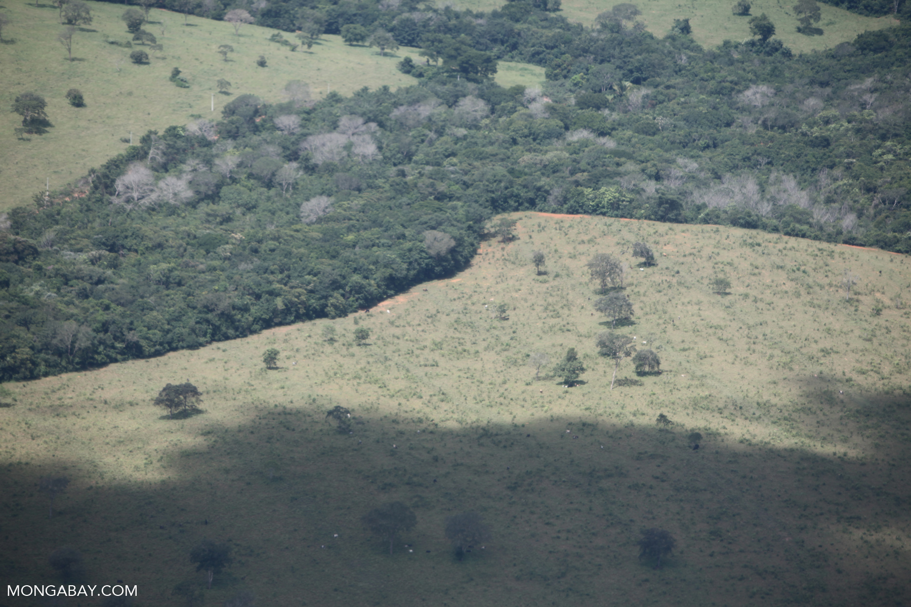 Overhead view of land cleared in the Amazon for agriculture [brazil_0286]