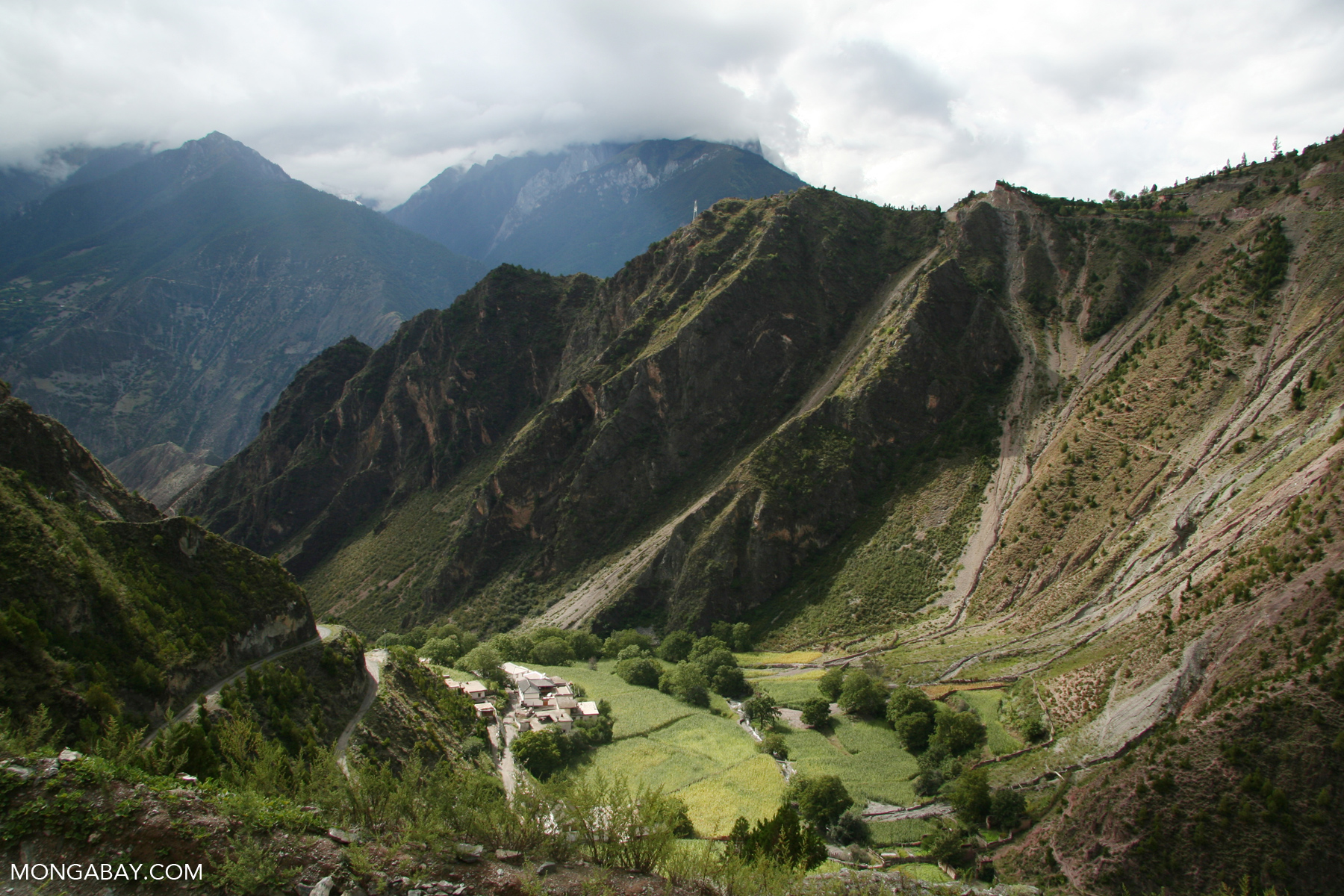 Rice fields in a valley in Tibetan Yunnan