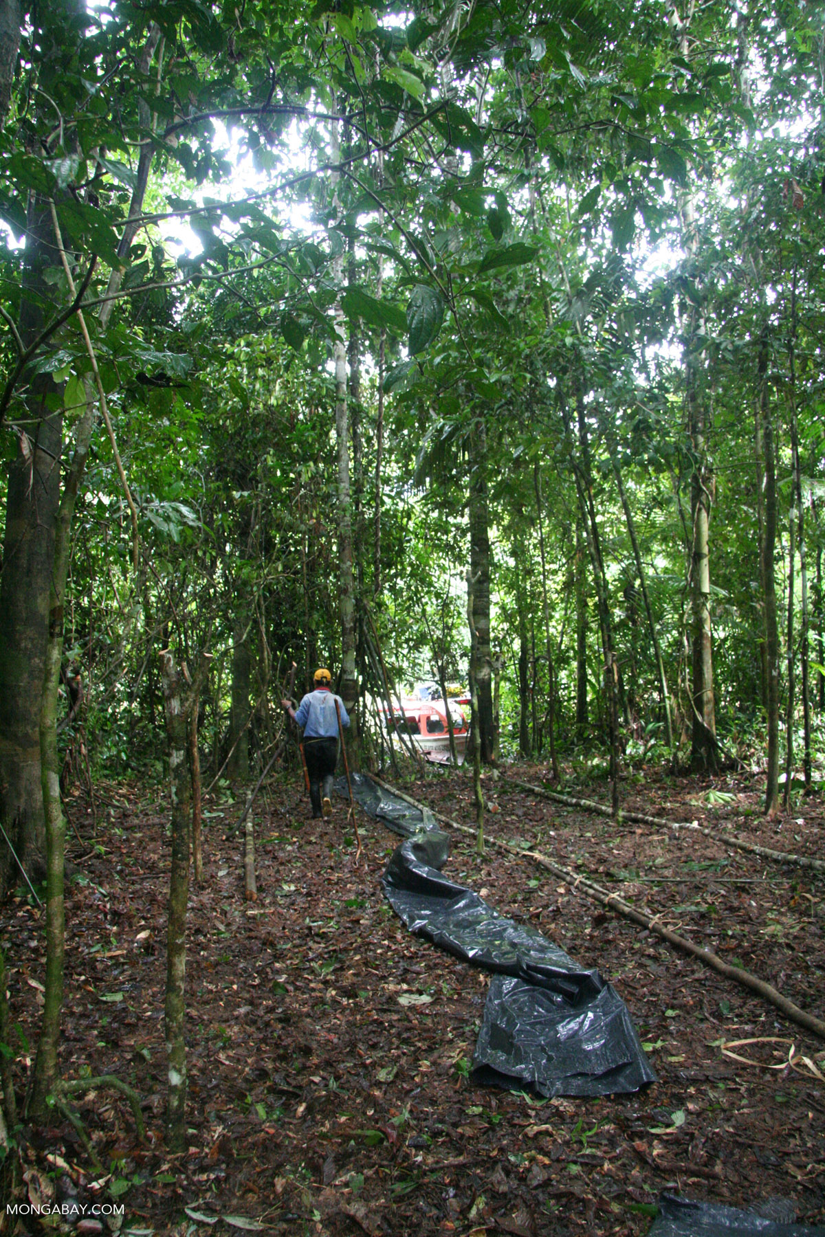 Amazon rainforest camp site - step 1