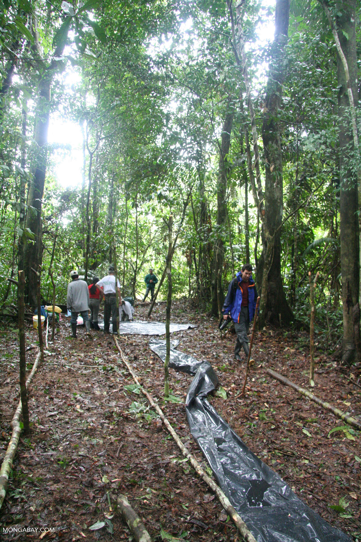 Setting up an Amazon rainforest camp site
