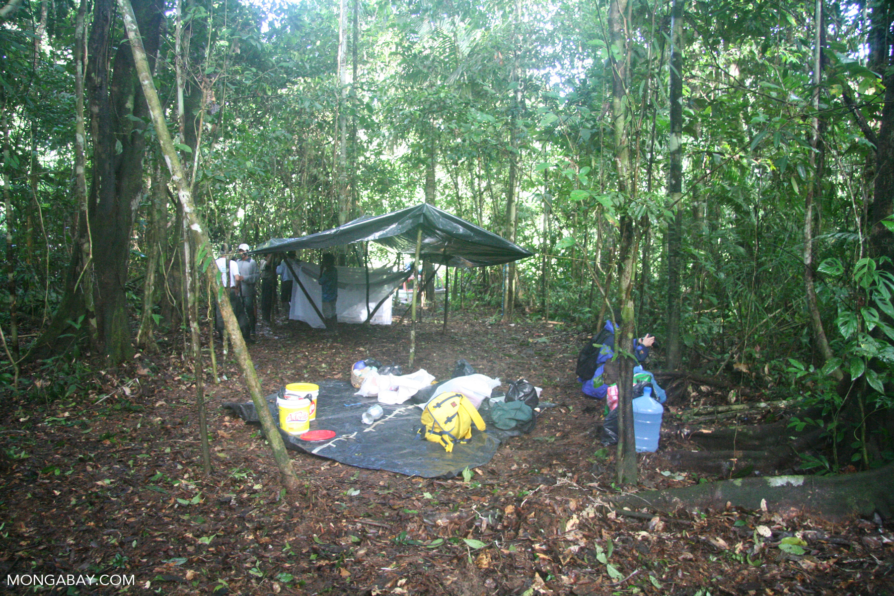 Amazon rainforest camp site set up, with tarp