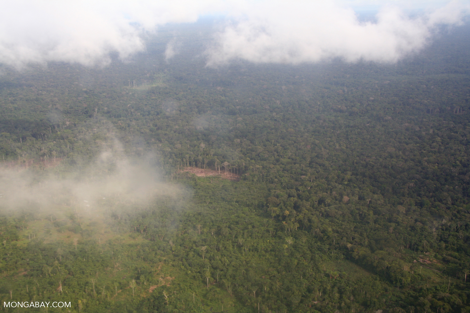 Airplane view of slash-and-burn forest clearing in the Amazon ...