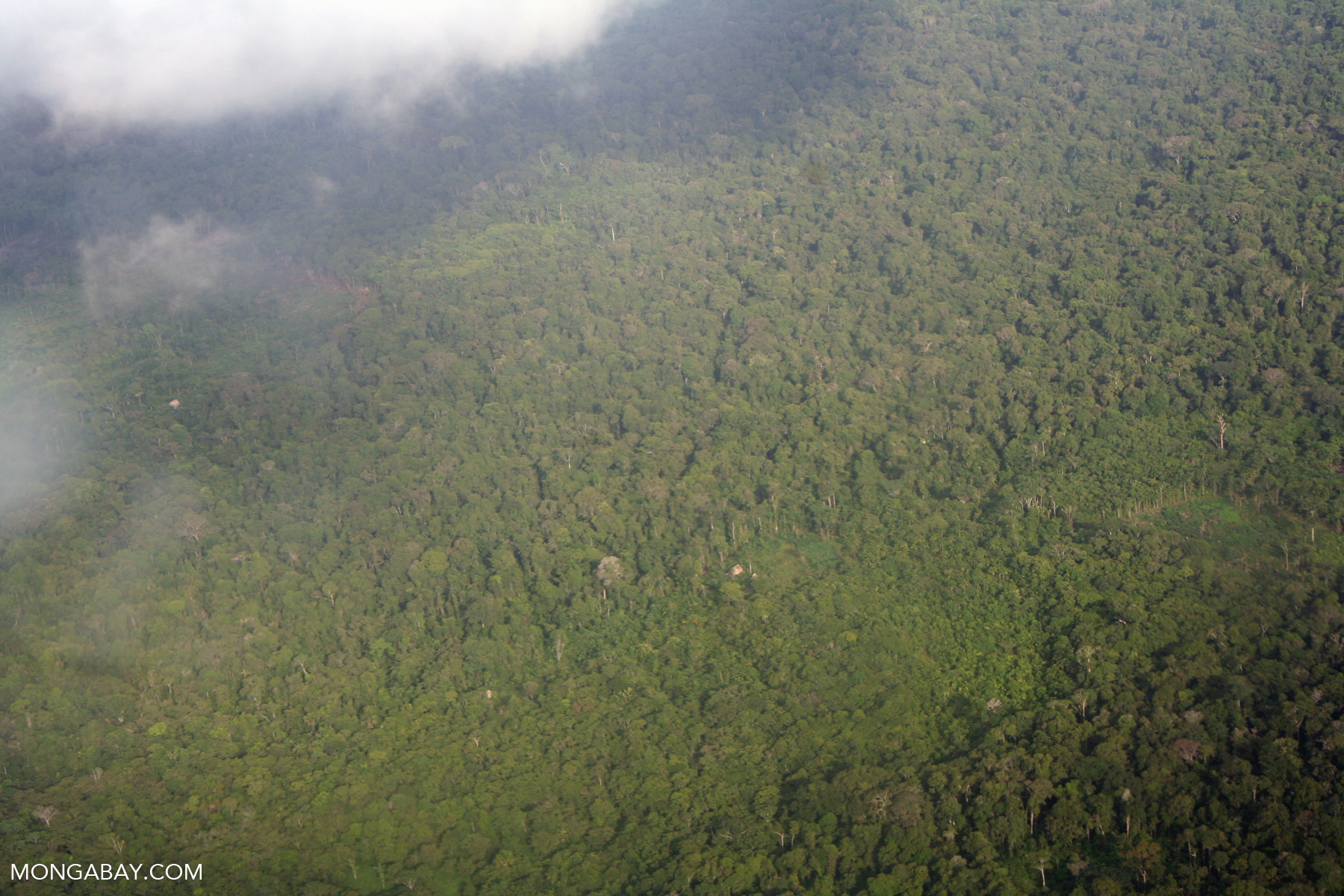 View from an airplane of Colombia's Amazon rainforest