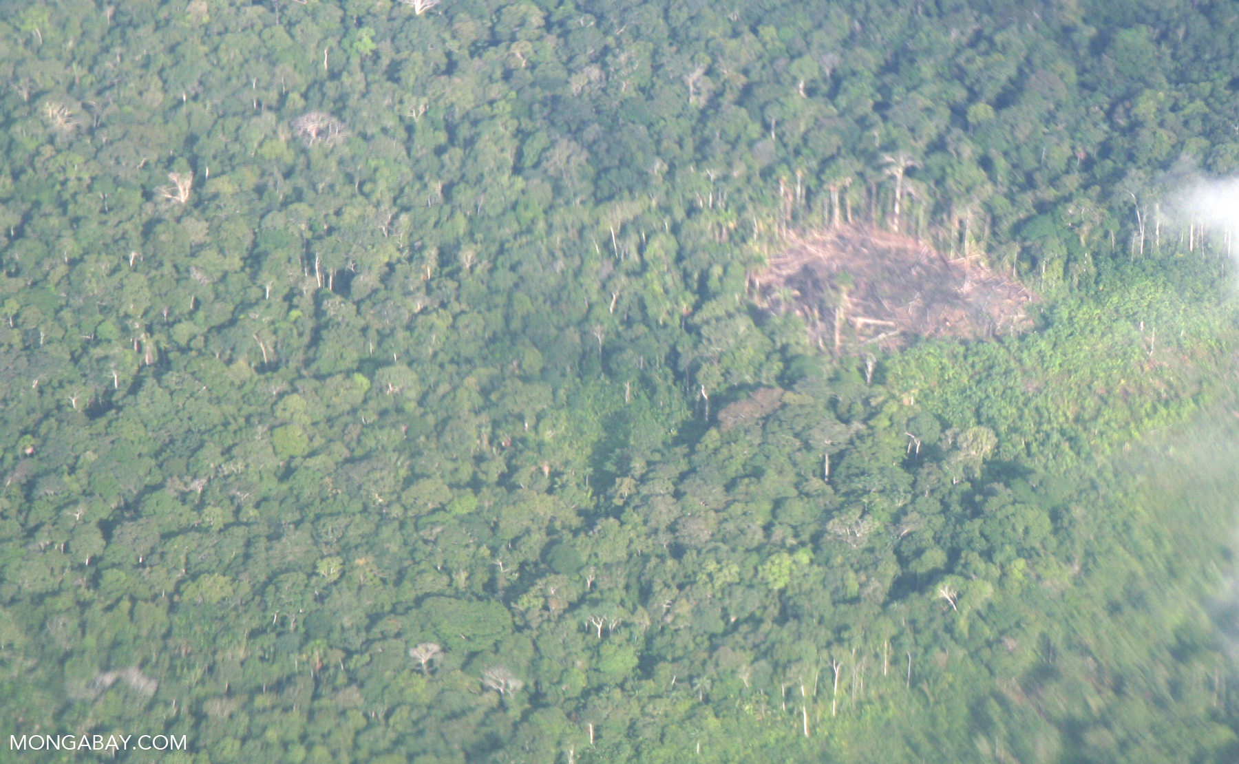 Plane view of slash-and-burn forest clearing in the Amazon