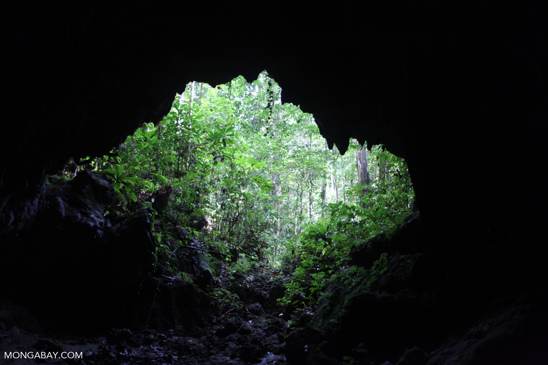 New Guinea jungle cave