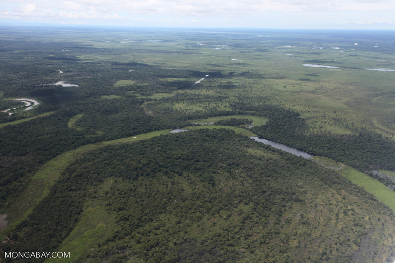 Aerial view of cerrado grassland and transition forest in the southern ...