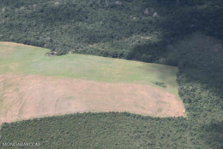 Airplane view of land cleared in the Amazon for agriculture