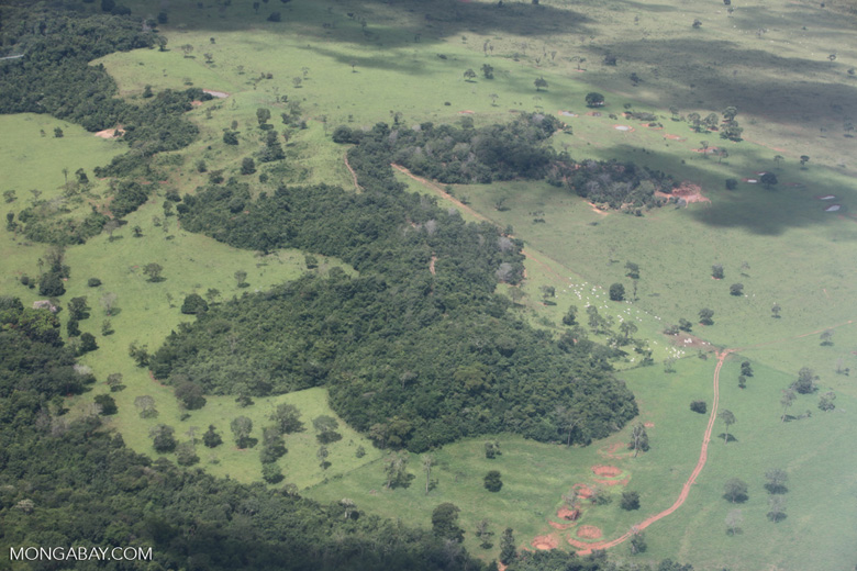 Cattle Ranches For Sale In Brazil at Dolores Bennett blog