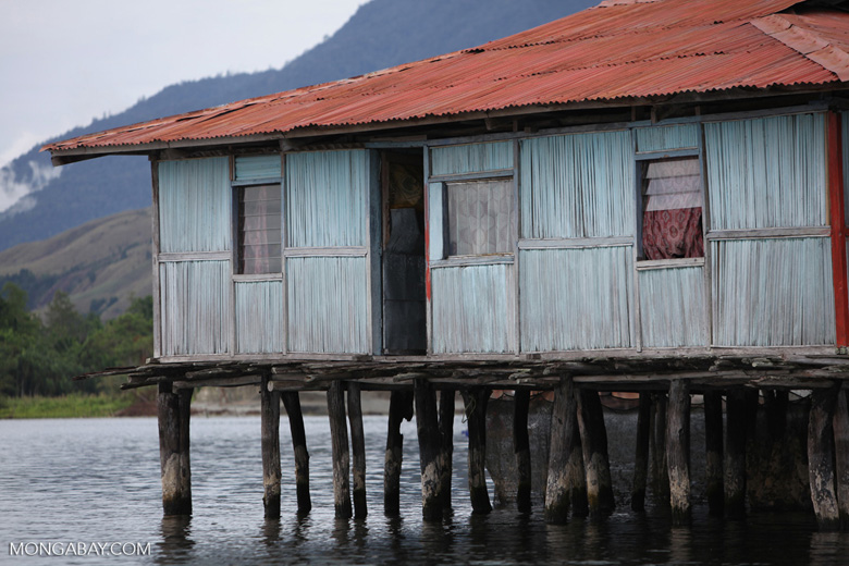 Stilt Houses In Kampung Ayapo Lake Sentani Papua Stilt Houses Papua