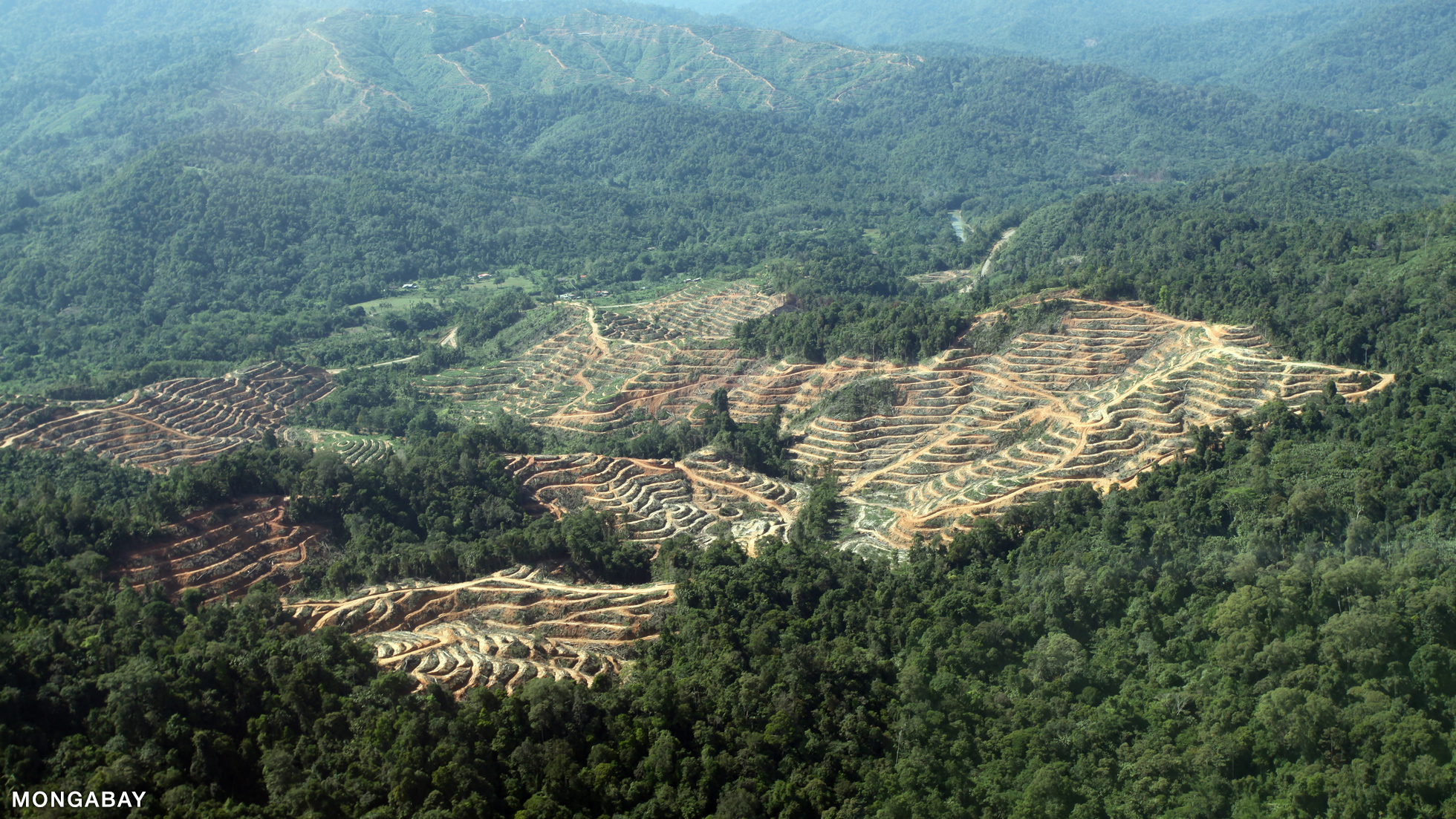 Tropical deforestation tables